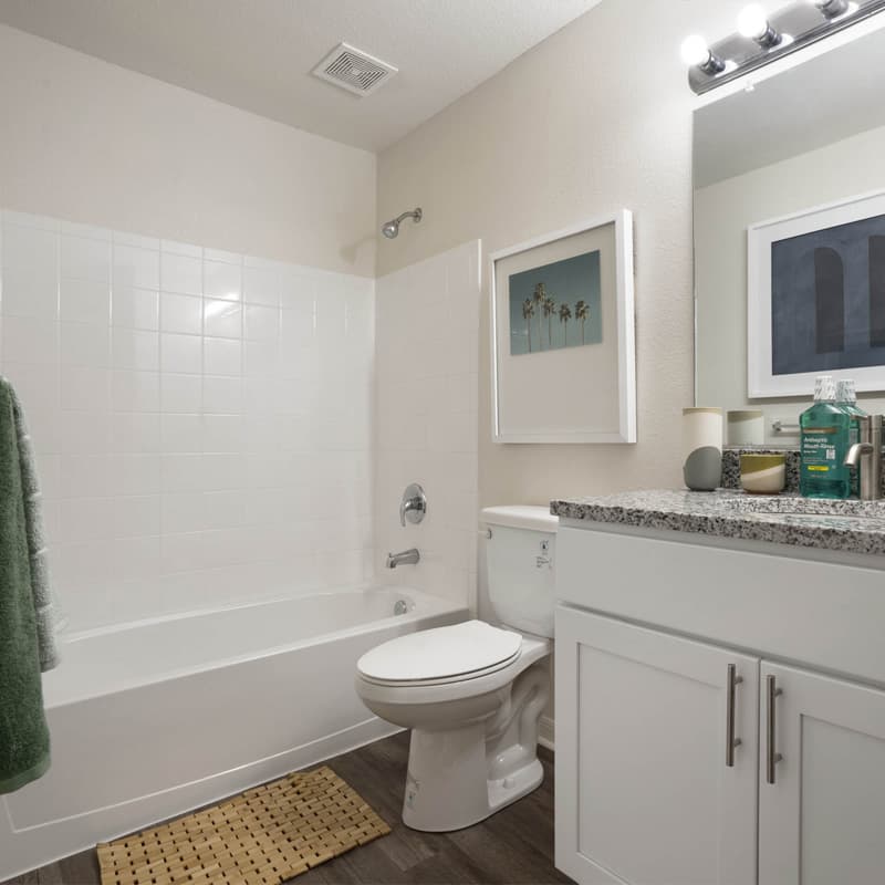 On20 Apartments: Premier Student Living Near UF | Gainesville, FL